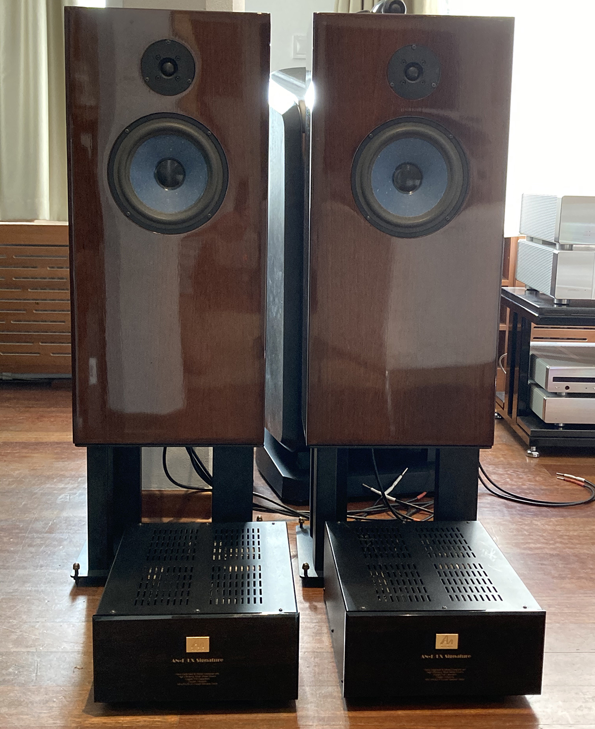 Audio note an e review - nudekool