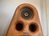 RD Acoustics Euphoria Atelier Rullit Field Coil + Coral RD Acoustic ...