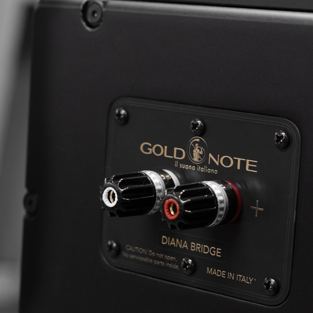DIANA LINE: MADE IN ITALY MEETS MODULAR INNOVATION - audioG Magazine